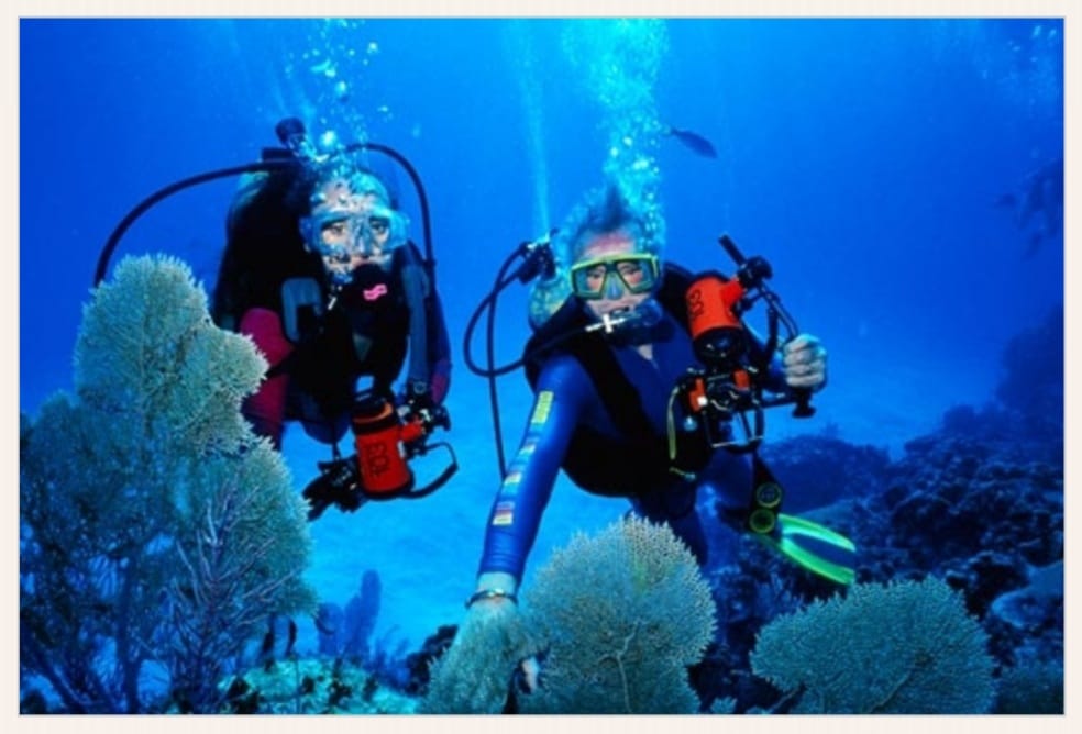 DIDIM SCUBA DIVING - Didim Tour
