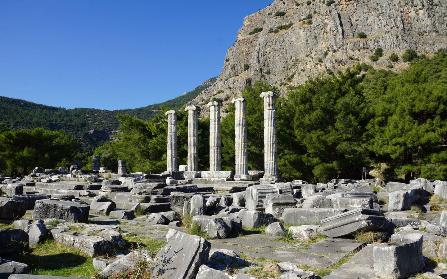 Priene - Didim Tour